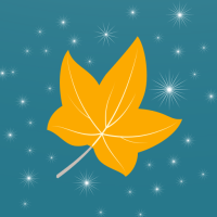 Gallery – Sandy Mackenzie